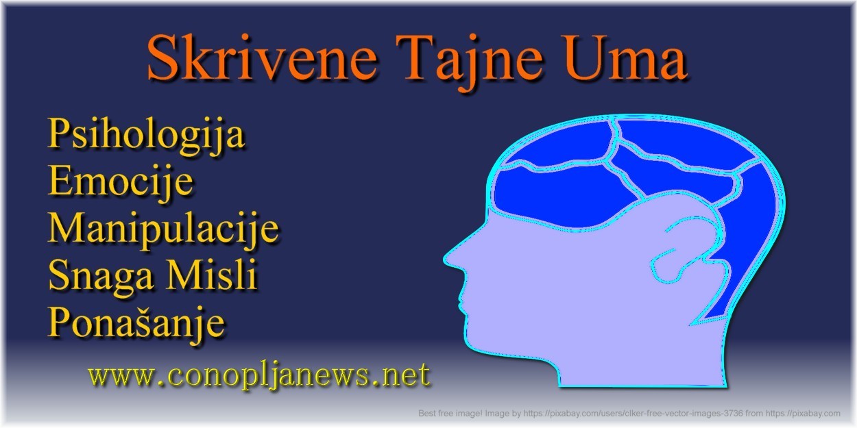 Koliko ste inteligentni? Iq testovi - No 18.